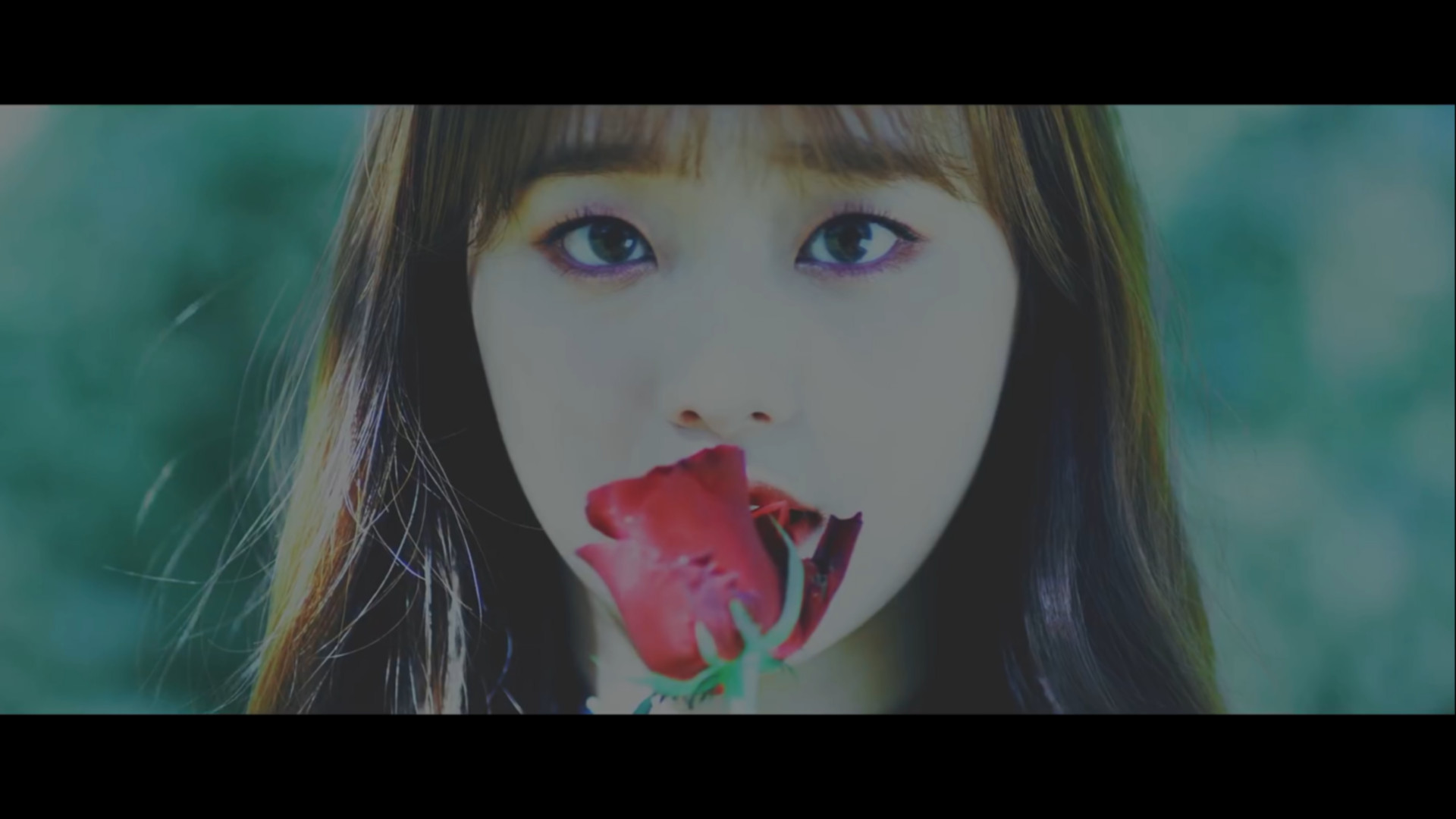 LOONA YYXY - Love4eva who's who - K-Pop Database / dbkpop.com