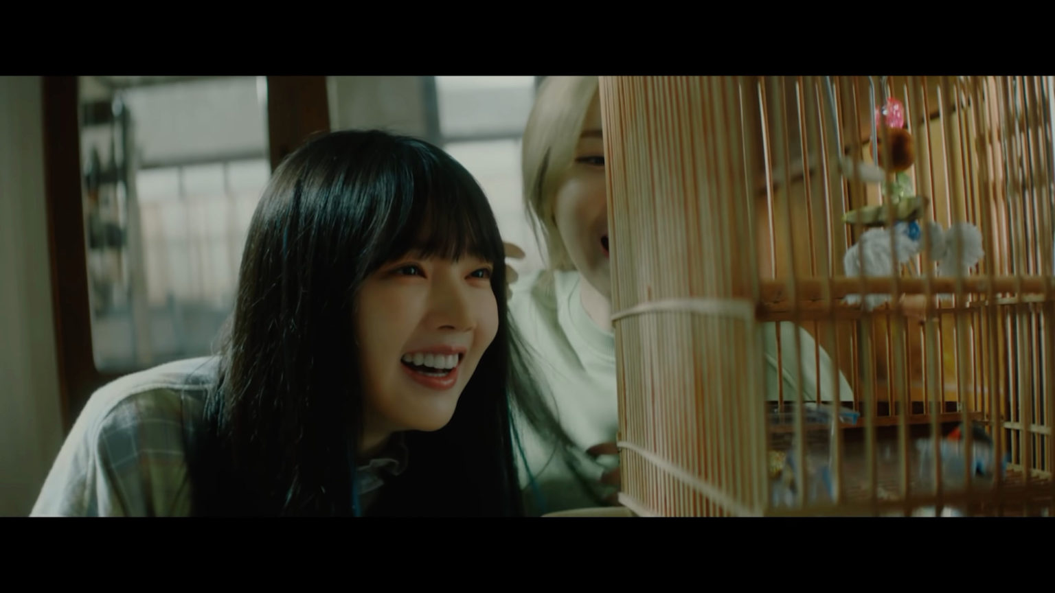 GFRIEND - Crossroads who's who - K-Pop Database / dbkpop.com