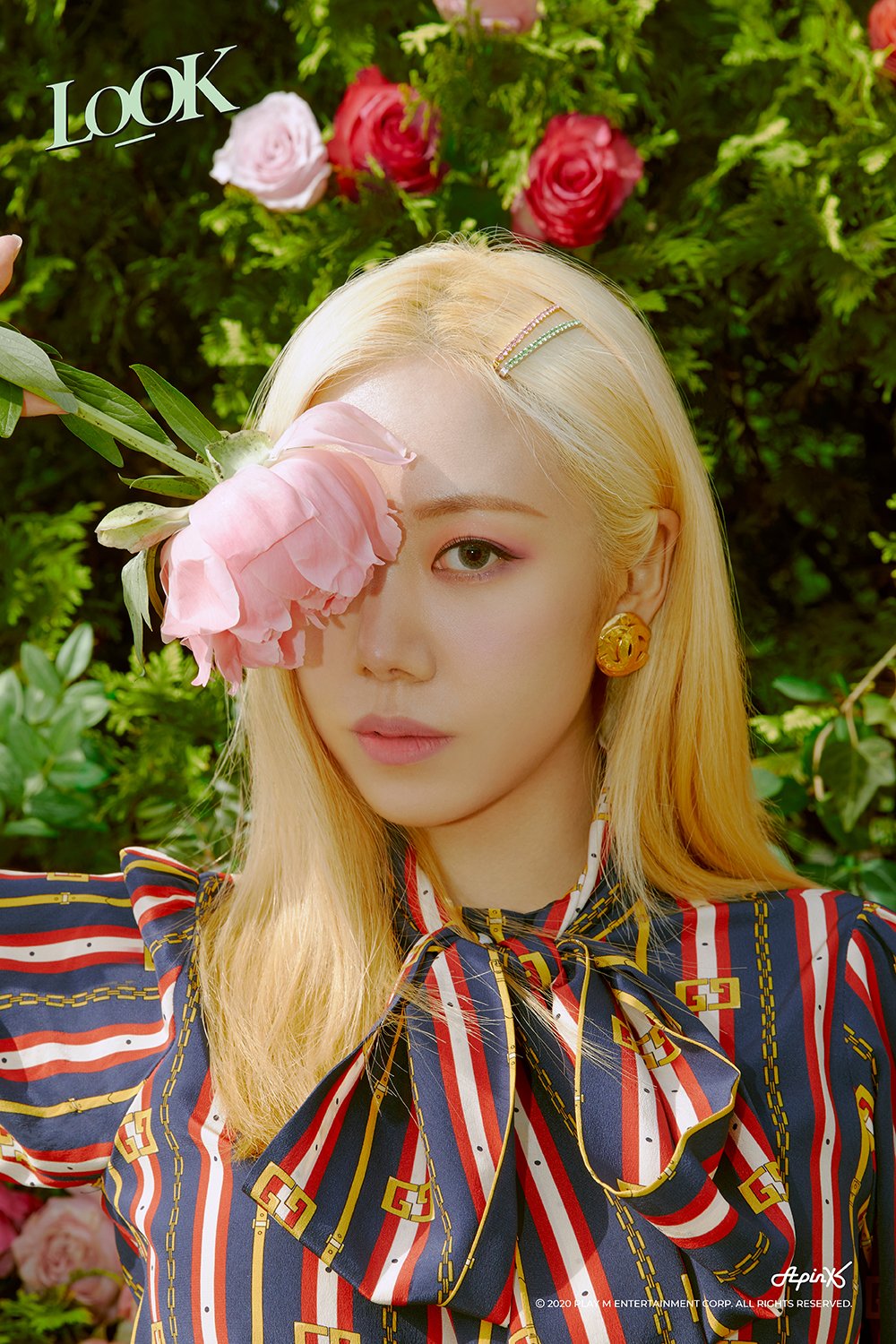 Apink Archives - K-Pop Database