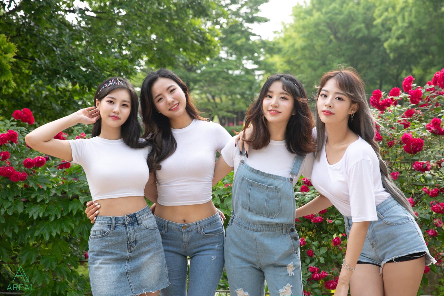 AREAL – K-Pop Database