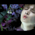 VIXX - Chained Up who's who - K-Pop Database / dbkpop.com