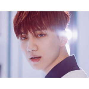 VIXX - Dynamite who's who - K-Pop Database / dbkpop.com