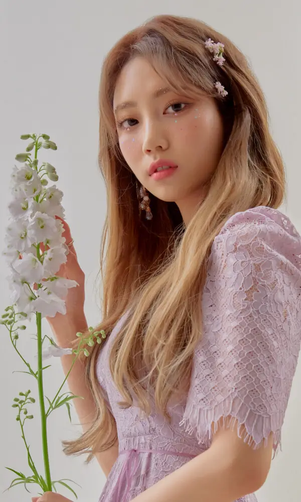 DIA Flower 4 Seasons Concept Photos (HD/HQ/HR) - K-Pop Database ...
