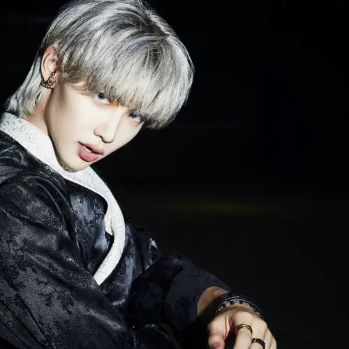 Felix (Stray Kids) Profile - K-Pop Database / dbkpop.com