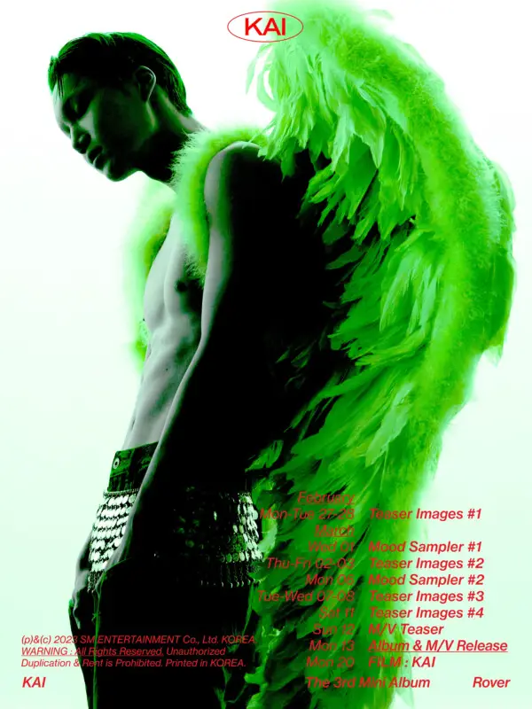 EXO Kai Rover Teaser Photos 1,2 (27 Photos, HD/HQ) - K-Pop Database ...